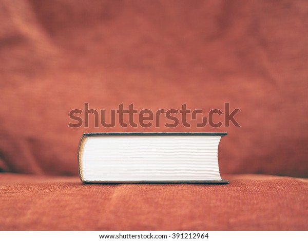 Bible Red Background Side View Stock Photo 391212964 | Shutterstock
