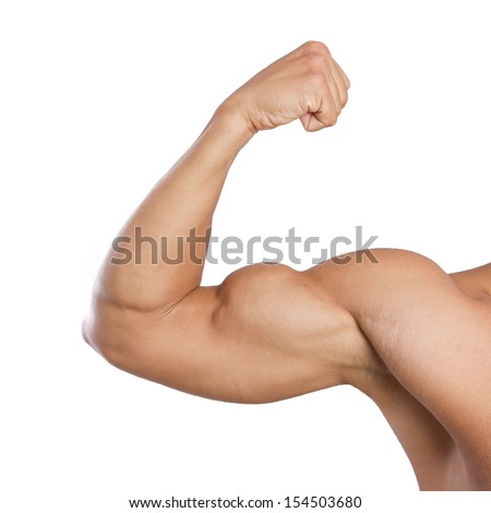 Biceps Stock Photo (Edit Now) 154503680 - Shutterstock