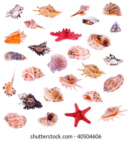 1,665 Sea animals collage Stock Photos, Images & Photography | Shutterstock