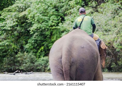 896 Elephant handler Images, Stock Photos & Vectors | Shutterstock