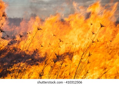 Big Extensive Fire Field Close Stock Photo 410312506 | Shutterstock