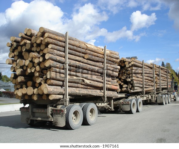 Big Load Logs Stock Photo 1907161 | Shutterstock