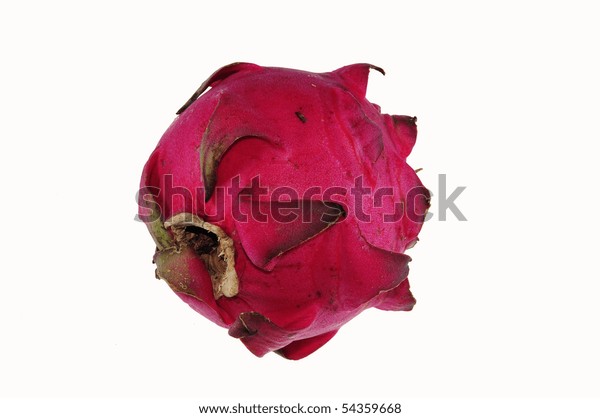 Big Root Stock Photo 54359668 | Shutterstock
