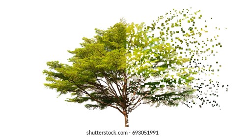 60,439 Half Green Tree Images, Stock Photos & Vectors | Shutterstock