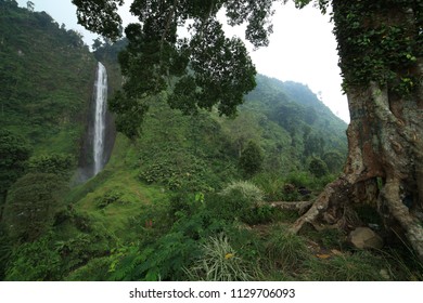 Big Tree Waterfall Background Stock Photo 1129706093 | Shutterstock