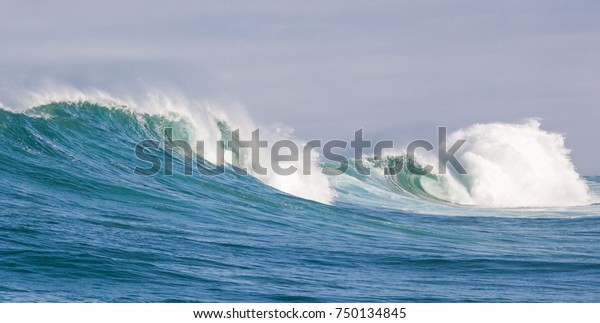 Big Waves Breaking On Reef Along Stock Photo 750134845 | Shutterstock