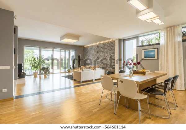 Big Windows Spacious Open Plan House Stock Photo (Edit Now) 564601114