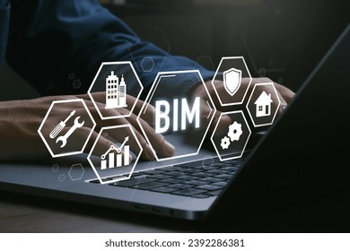 Bim Images – HD & 4K Photos Free to Download | PikWizard