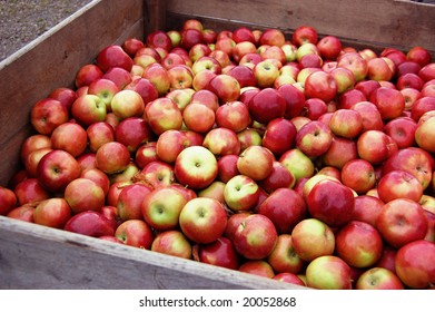 3,024 Apple bin Images, Stock Photos & Vectors | Shutterstock