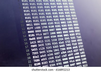 71 Hex dump Images, Stock Photos & Vectors | Shutterstock
