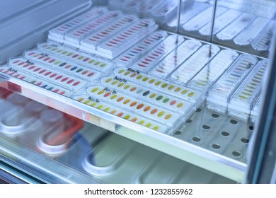 Biochemical Test Identification Bacteria Using Various: foto de stock ...