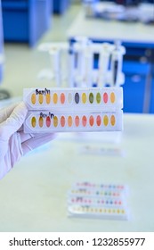Biochemical Test Identification Bacteria Using Various Stock Photo ...