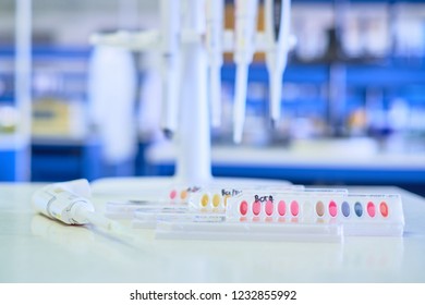 Biochemical Test Identification Bacteria Using Various Stock Photo ...