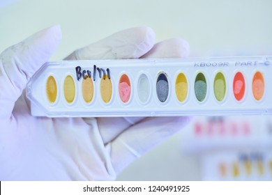 Biochemical Test Identification Bacteria Using Various Stock Photo ...