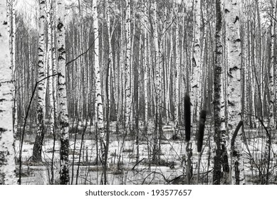 9,776 Infinite tree Images, Stock Photos & Vectors | Shutterstock