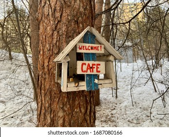 Bird Cafe Spring Forest Stock Photo 1687080166 | Shutterstock