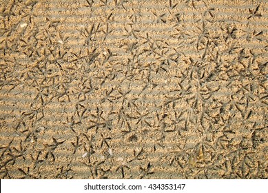 1,818 imágenes de Seagull footprint - Imágenes, fotos y vectores de ...