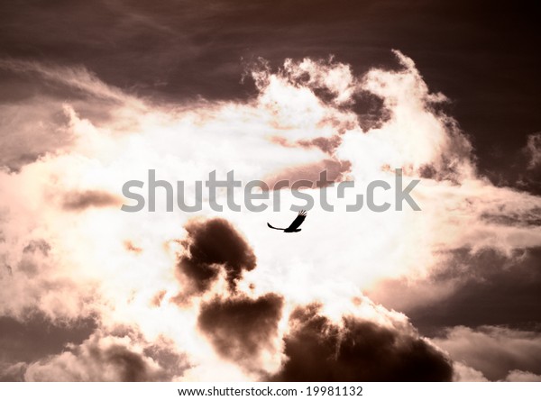 Bird Flying Through Storm Clouds Against Stock Photo (Edit Now) 19981132