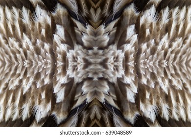 Bird Wings Pattern Background Texture Made Stock Photo 639048589 ...