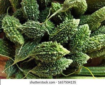 Bitter Gourd Small Size Bitter Gourd Stock Photo 1657504135 | Shutterstock
