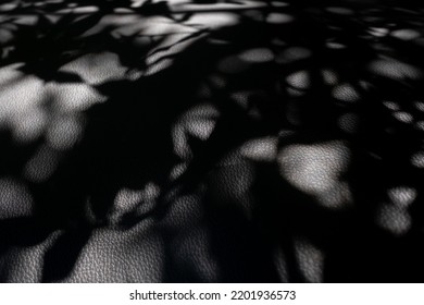 Black Background Shadow Wallpaper Stock Photo 2201936573 | Shutterstock
