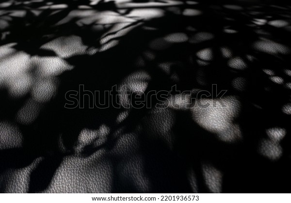 Black Background Shadow Wallpaper Stock Photo 2201936573 | Shutterstock