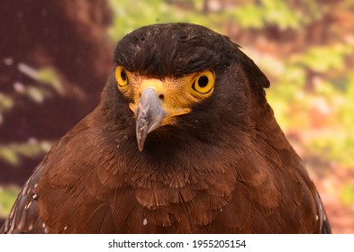 Stock Photo and Image Portfolio by gus negara | Shutterstock