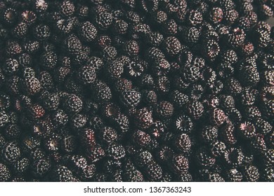 Black Raspberry Background Stock Photo 1367363243 | Shutterstock