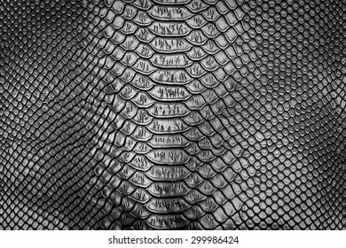 Black Snake Skin Pattern Texture Background Stock Photo (Edit Now ...