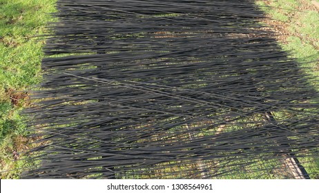 Black Stick Stock Photo 1308564961 | Shutterstock