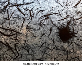 Black Translucent Paper Texture Background Warm Stock Photo 1222182796 ...