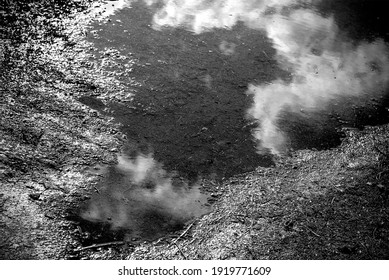 Black White Image Puddle Reflected Blurry Stock Photo 1919771609 ...