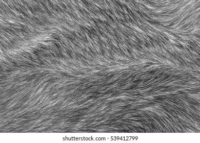 Black White Wool Texture Background Stock Photo 539412799 | Shutterstock