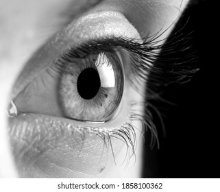 Black Withe Human Eye Macro Stock Photo 1858100362 | Shutterstock