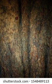Black Wood Texture Java Indonesia Stock Photo 1548489113 | Shutterstock