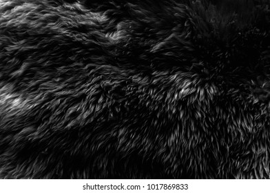 Black Wool Texture Background Dark Natural Stock Photo 1347502514 ...