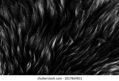 Black Wool Texture Background Dark Natural Stock Photo 1017869851 ...