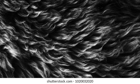 Black Wool Texture Background Dark Natural Stock Photo (Edit Now) 765110422