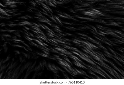 Black Wool Texture Background Dark Natural Stock Photo 765110410 ...