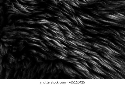 Black Wool Texture Background Dark Natural Stock Photo (Edit Now) 765110425