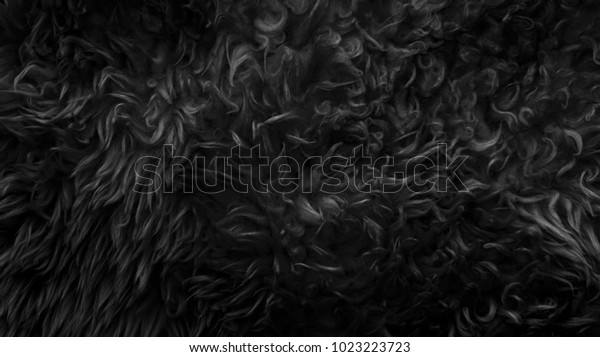 Black Wool Texture Background Dark Natural Stok Fotoğrafı 1023223723 ...