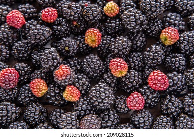 29,423 Blackberry texture Images, Stock Photos & Vectors | Shutterstock