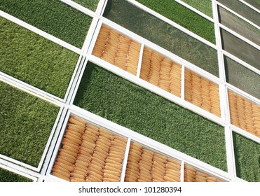 Blackground Corn Grass Wall Texture Desing Stock Photo 101280394 ...