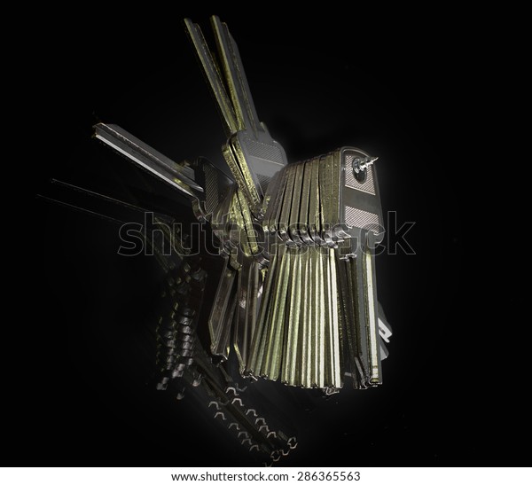 Blank Keys Cutting Dark Background Stock Photo 286365563 | Shutterstock