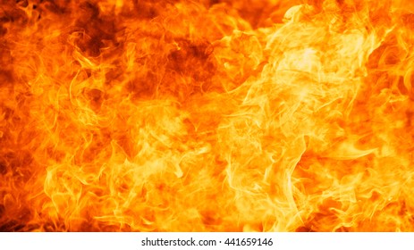 401 Passion hd Images, Stock Photos & Vectors | Shutterstock