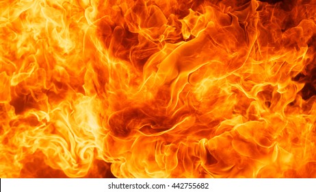 401 Passion hd Images, Stock Photos & Vectors | Shutterstock