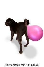 796 Animal blowing bubbles Stock Photos, Images & Photography ...