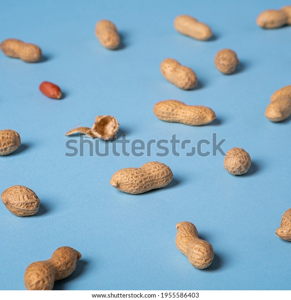 Blue Background Peanuts Side View Stock Photo 1955586403 | Shutterstock