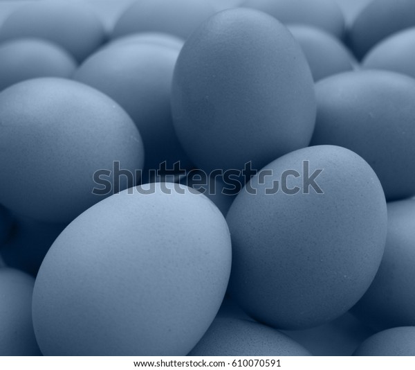 Blue Backgroundeggs Background Stock Photo (Edit Now) 610070591