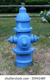 3,434 imágenes de Blue fire hydrant - Imágenes, fotos y vectores de ...